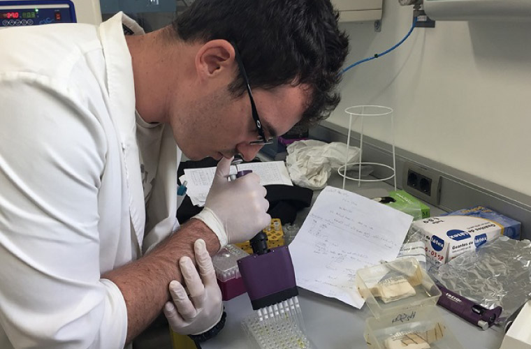 La tesis doctoral de Álvaro Fernández Montero gana el premio de la ... La tesis doctoral de Álvaro Fernández Montero gana el premio de la ...