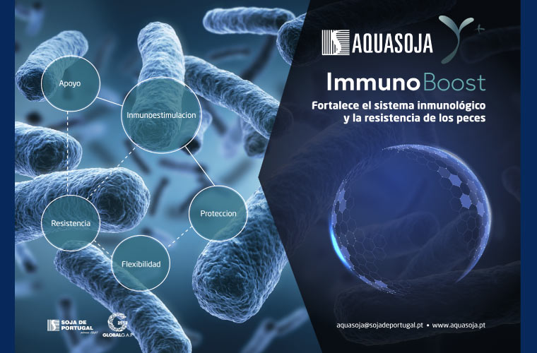 IMMUNOBOOST - Fortalece el sistema inmunológico, fortaleciendo la ...