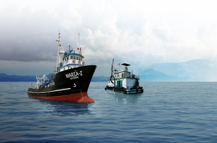 Peru concludes first anchovy fishing season with over 80% of quota landed
