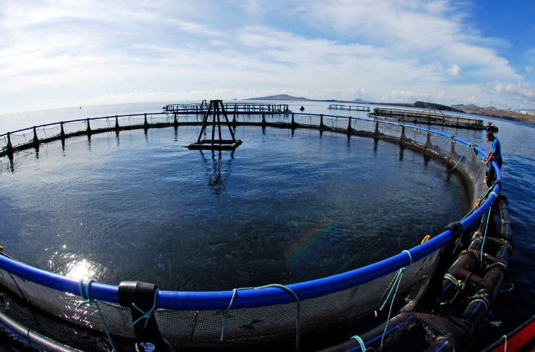 El reto de este año es mejorar la percepción social de la actividad ...