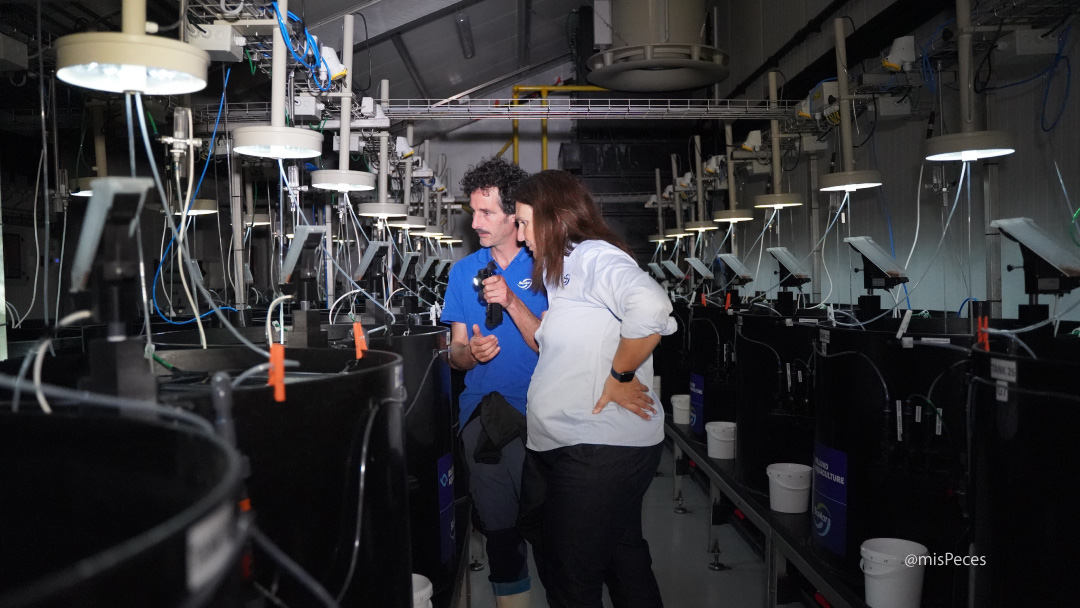 The LARVIVA Hatchery Hub by BioMar: Driving Advances in Marine Larval ...
