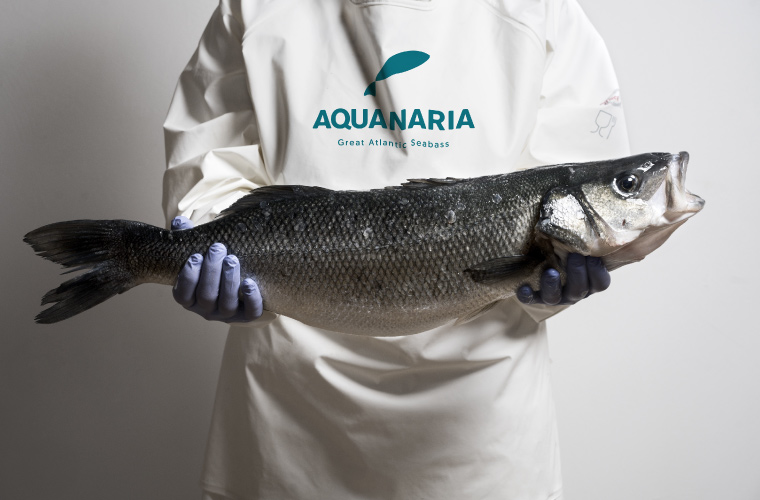 Aprobado el informe ambiental de la nueva granja de lubinas de Aquanaria