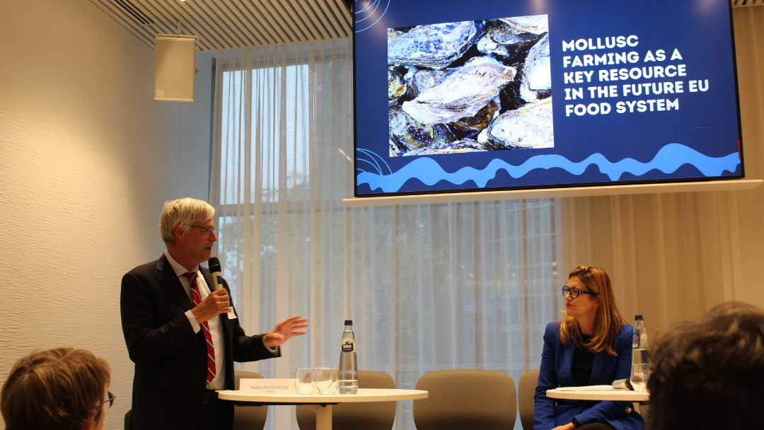 European Shellfish Producers call to integrate mussel and oyster ...