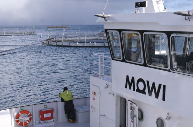 Mowi Considers Selling Its Feed Division as a Strategic Move