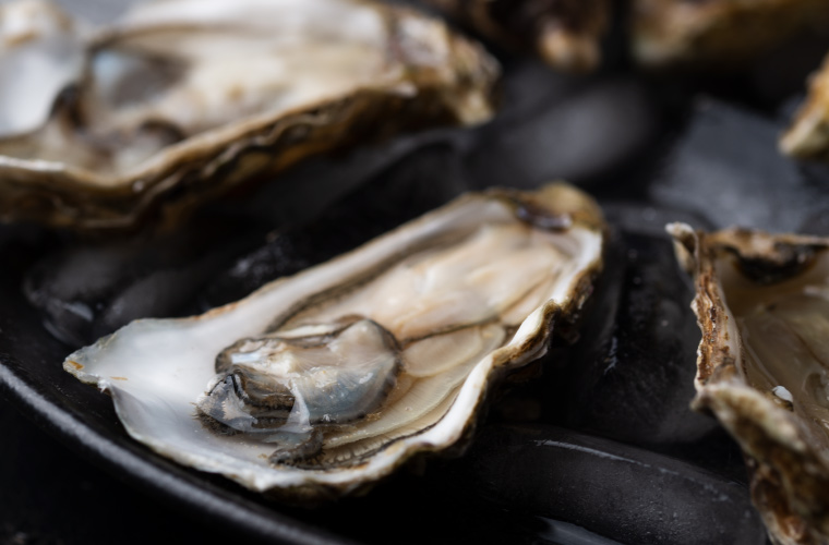 ¿Crassostrea gigas o Magallana gigas? Historia de una controversia ...