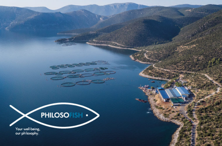 Philosofish: cosechando de forma “más humana” doradas y lubinas