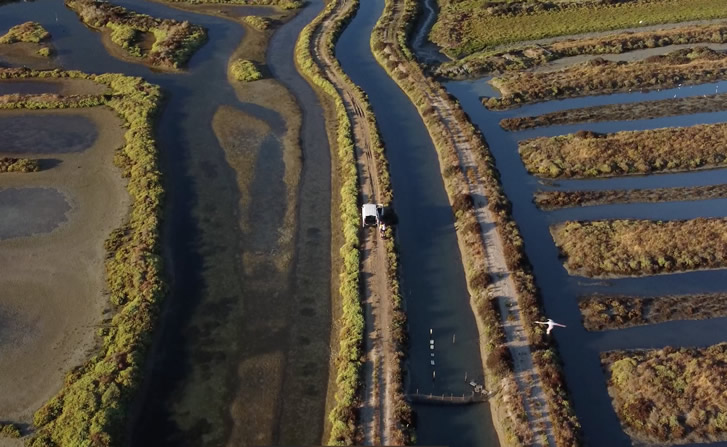 Emiok naked but goodness she was so absurdly damn