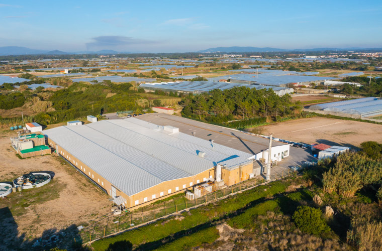 Sea Eight, especialistas en el cultivo de lenguado, sigue en su camino ...