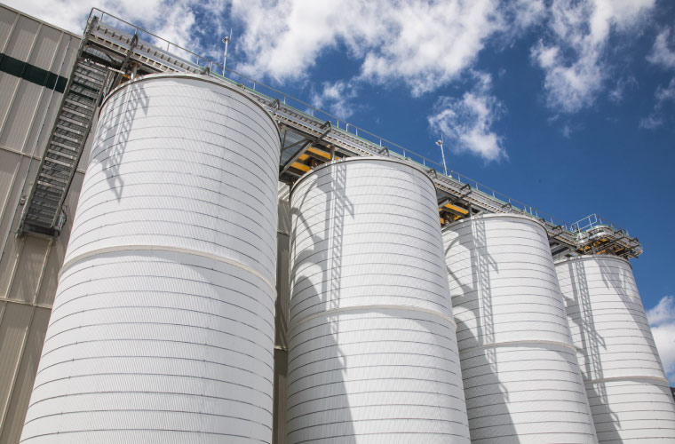 Global microalgae oil production set to grow by 80% by 2030