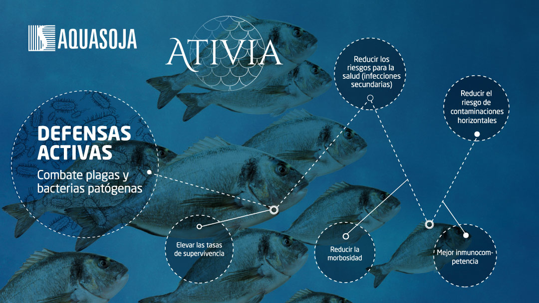 Soluciones nutricionales de Aquasoja para mantener sano el intestino de ...