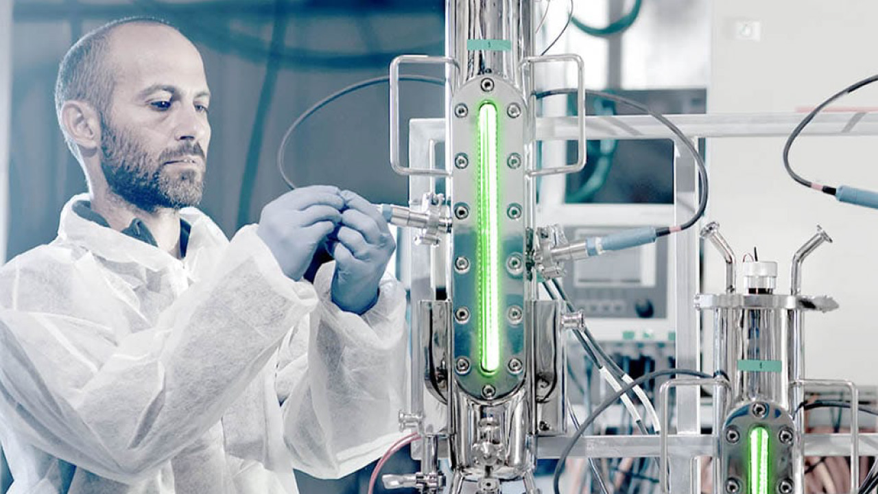 Una macroplanta israelita producirá proteína de microalga a un precio asequible, similar al de ...