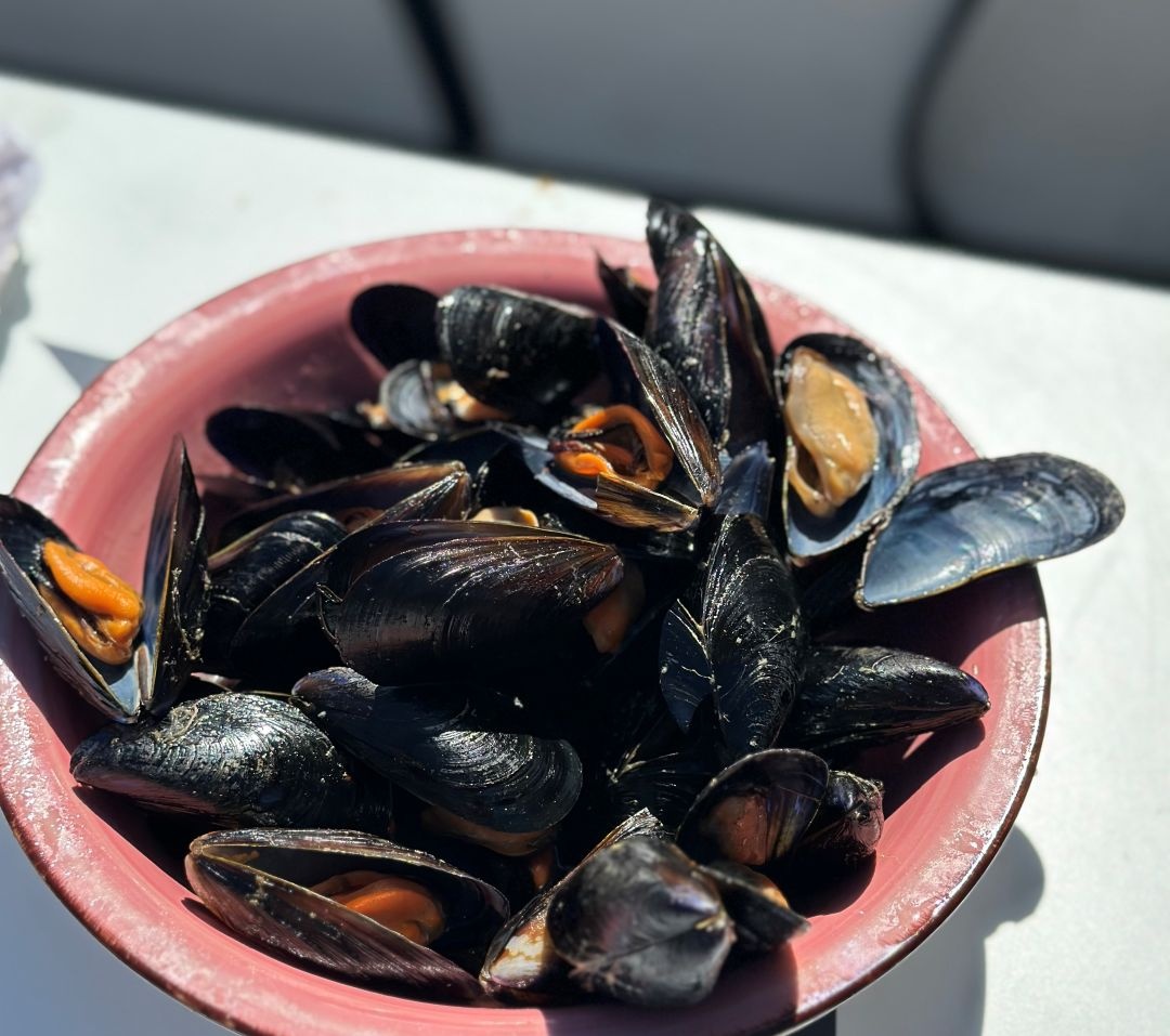 La Clóchina de Valencia inicia su temporada 2025 con excelentes previsiones