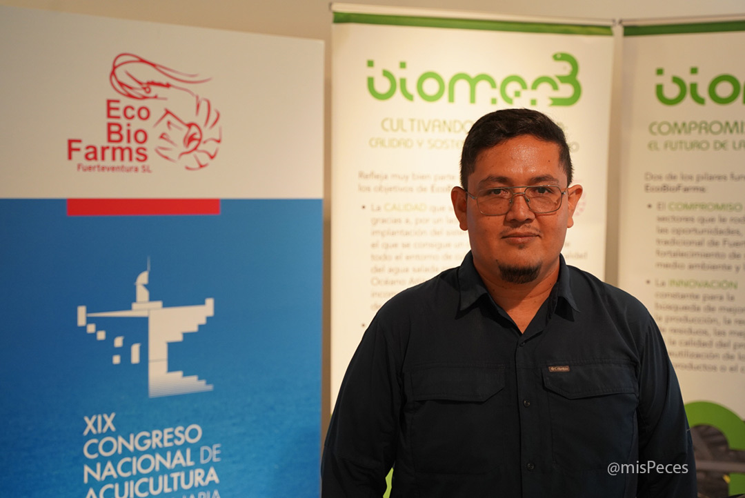 Canarias contará con una granja de langostino vannamei con capacidad ...