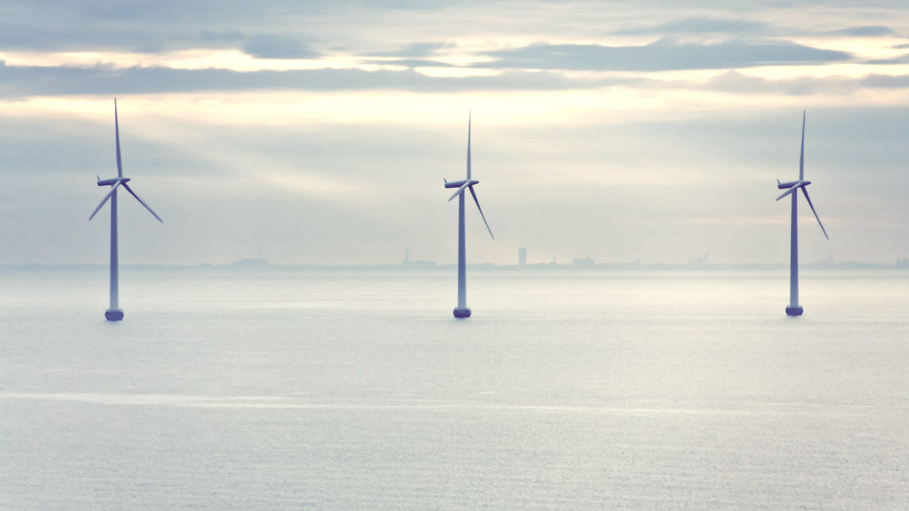 Acuicultura y energía eólica offshore, sinergias y desafíos Acuicultura y energía eólica offshore, sinergias y desafíos