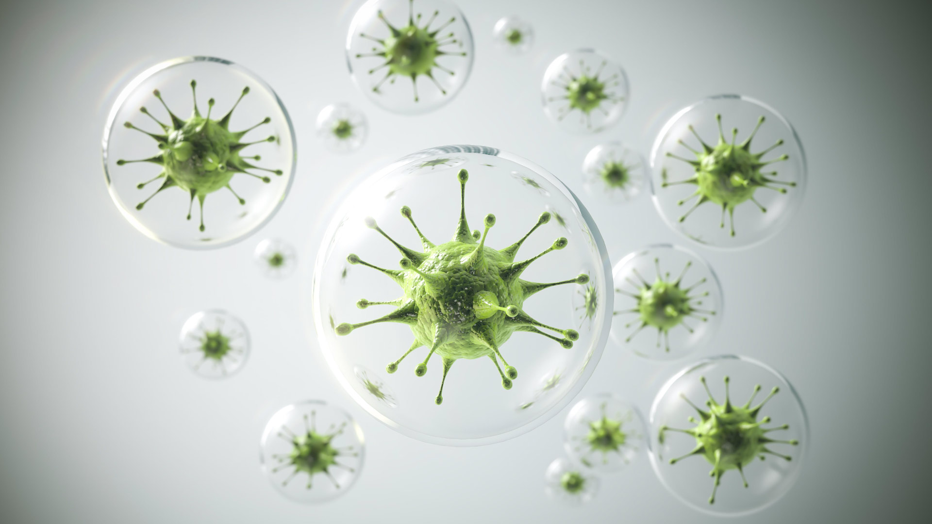 Virus ‘buenos’ como depredadores de bacterias 'malas'. ¿Qué sabemos de ...