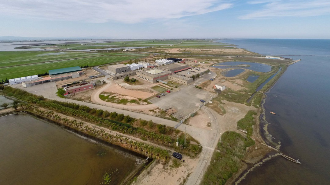 IRTA celebra hoy la jornada “Ven a conocer la R-evolución acuícola"