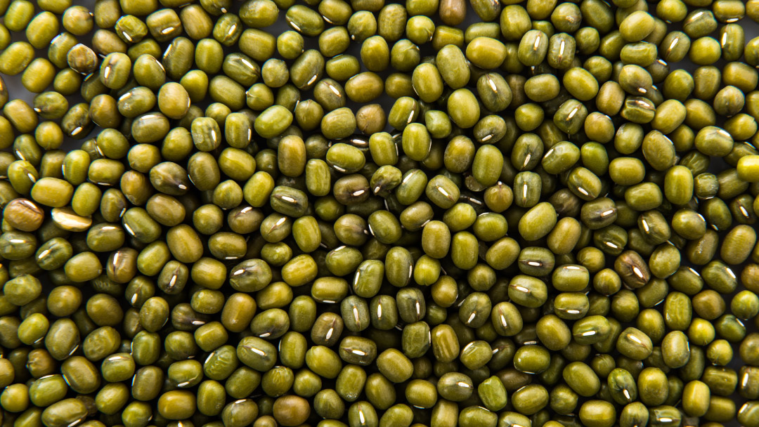 Dibaq y APROMAR colaboran en Fish Hub en piensos más sostenibles con ...