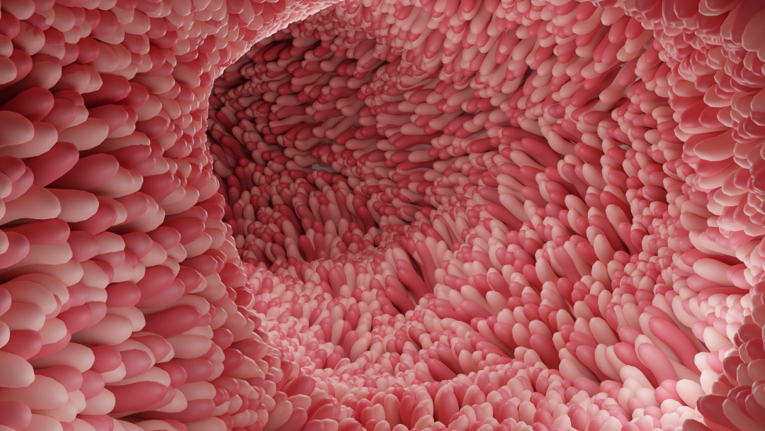 ¿Por qué es tan importante estudiar el microbioma en los peces?