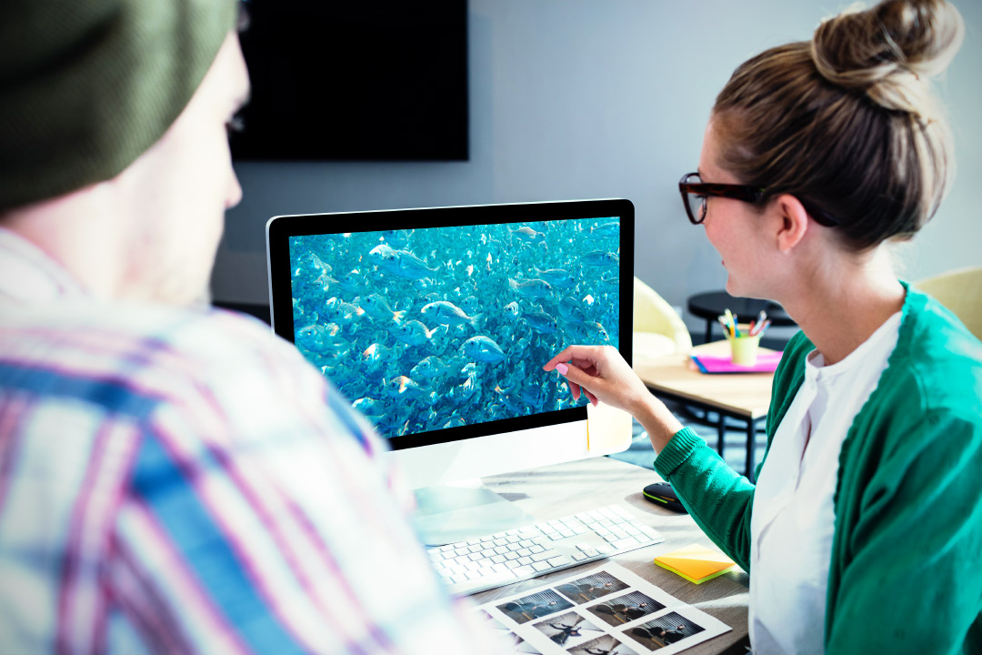 Which Fish Detection Model Using Computer Vision Should You Choose?